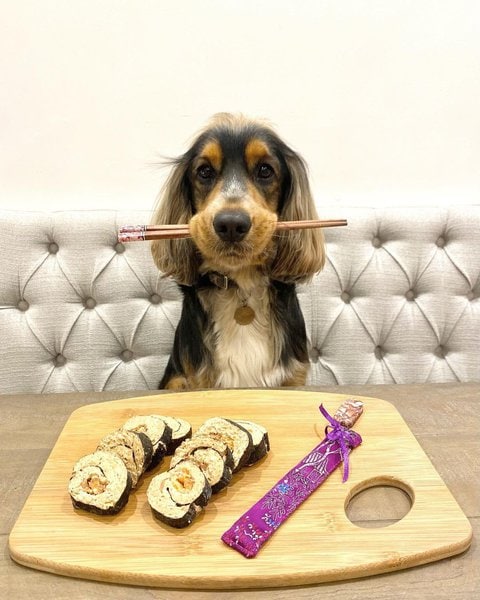 Can Dogs Eat Sushi? The Top Four Types Safe For Dogs - The Goody Pet
