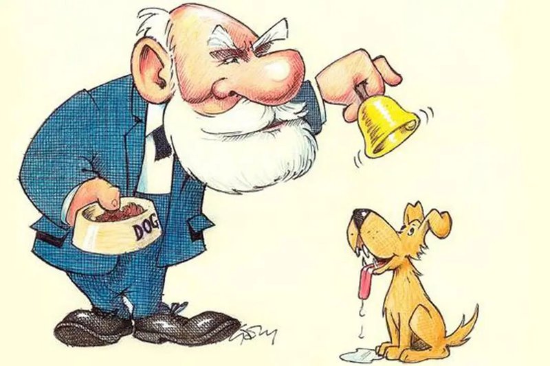 Purpose Realized: What Was The Main Point Of Ivan Pavlov’s Experiment ...