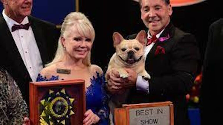 Meet The Winner Of The 2022 National Dog Show - The Goody Pet